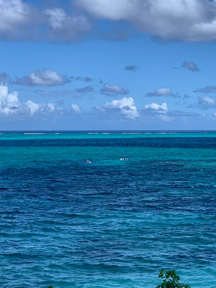 All the shades of blue in the world! – Rebecca Alesia